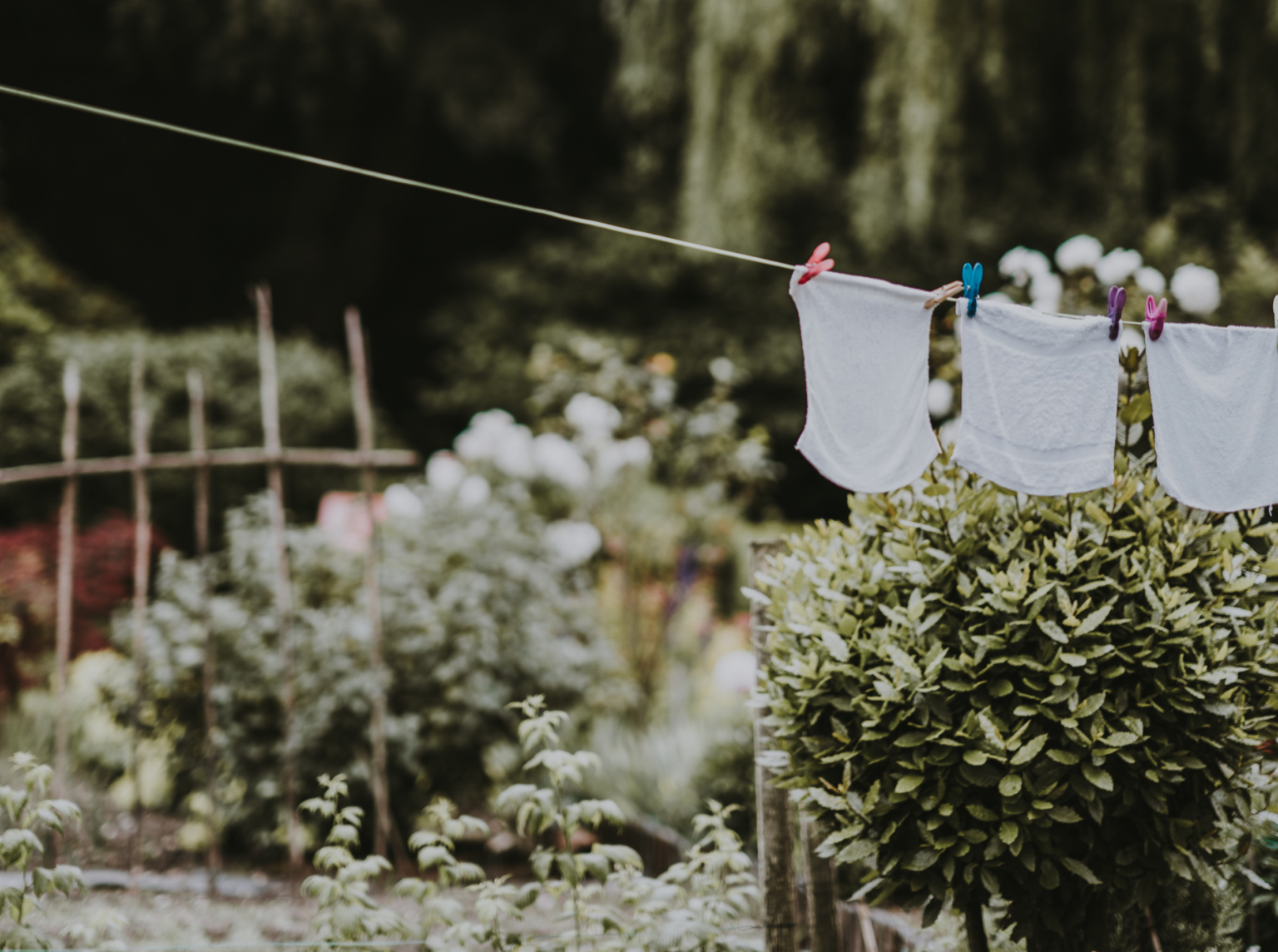 How To Sustainably Care For Your Clothes - Sustayn